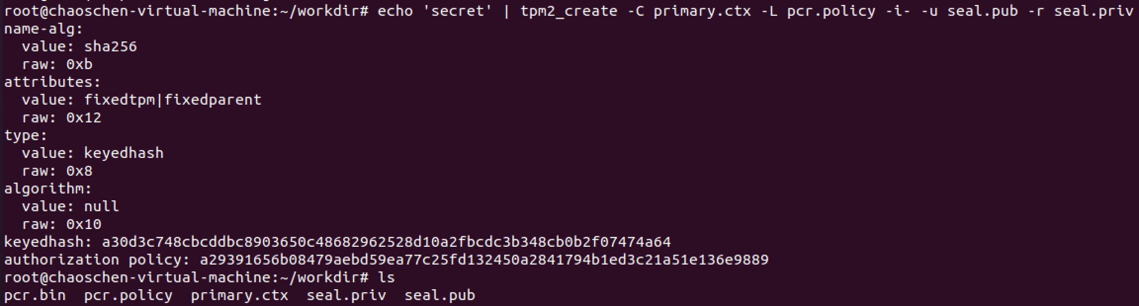 Vmware Fusion TPM安装过程 - Real Own