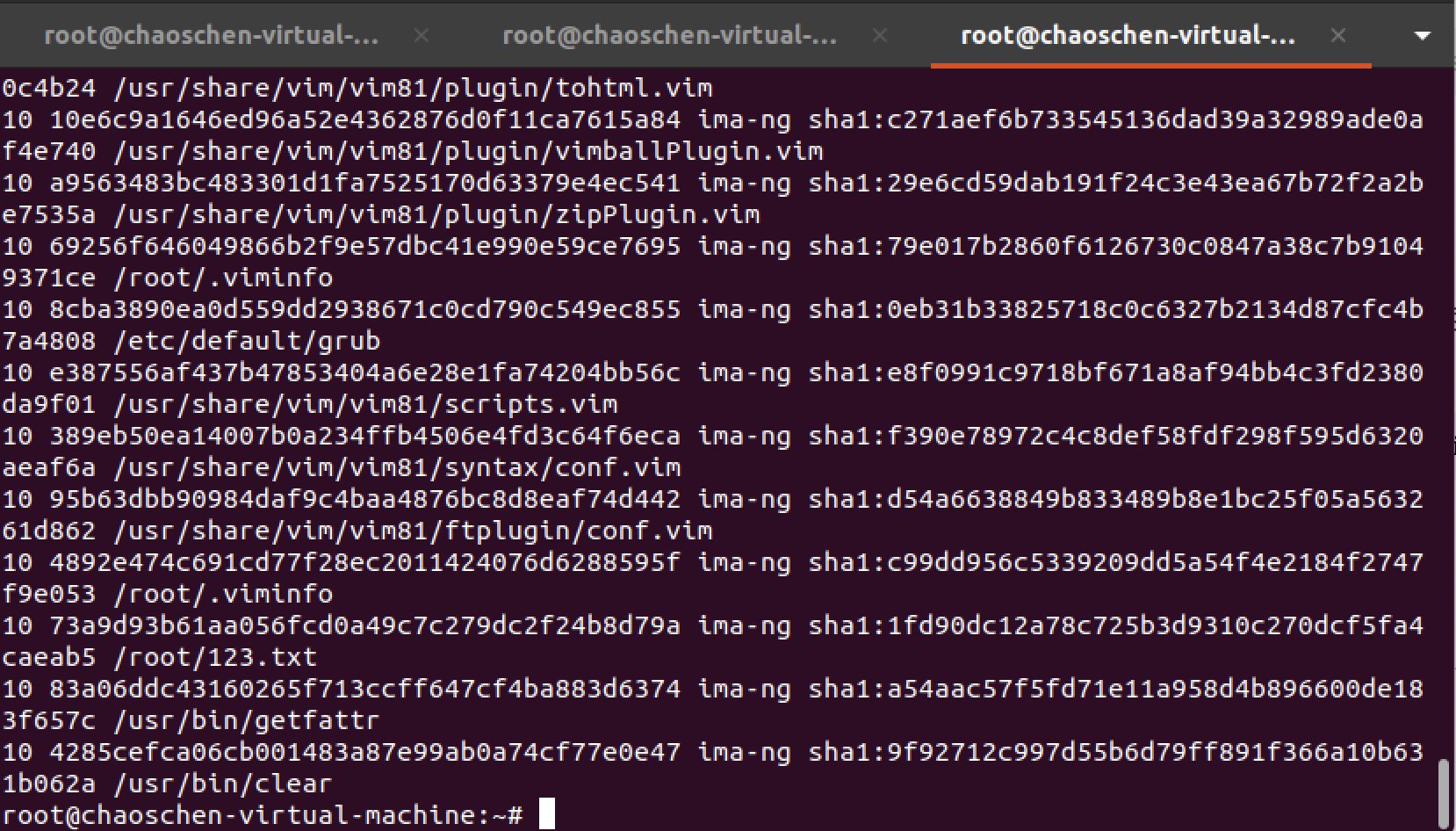 在TPM2.0下使用IMA/EVM - Real Own