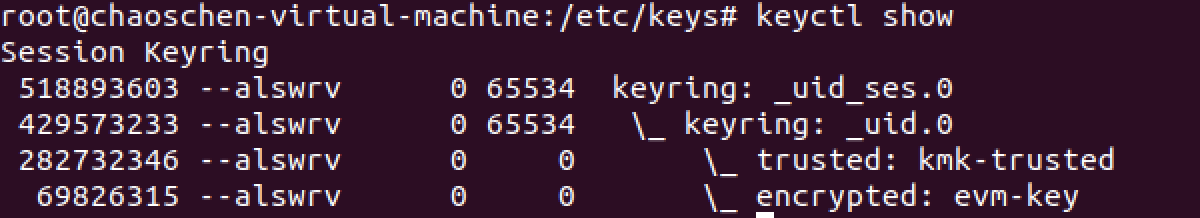在TPM2.0下使用IMA/EVM - Real Own