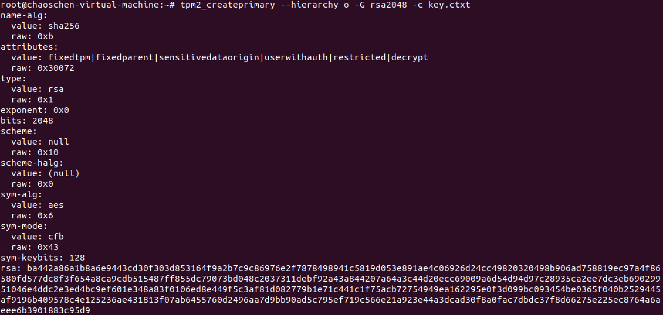 在TPM2.0下使用IMA/EVM - Real Own