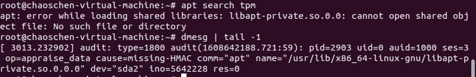 在TPM2.0下使用IMA/EVM - Real Own